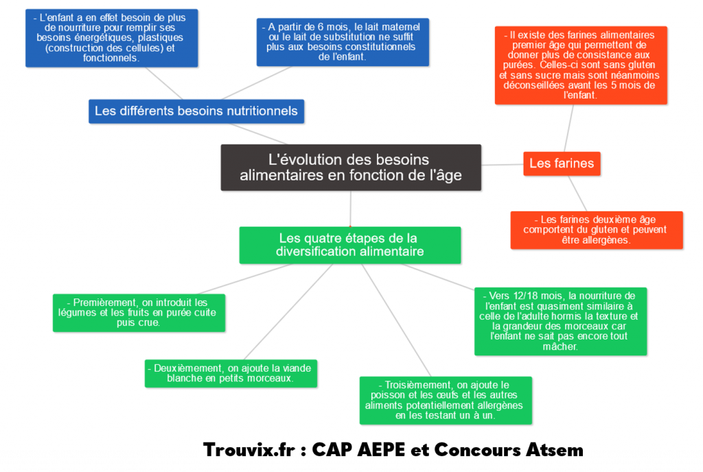 CAP AEPE - EP3 Concevoir des repas - AEPE - Atsem - Trouvix