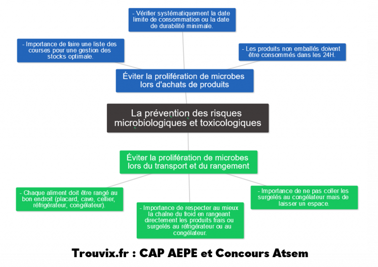 CAP AEPE - EP3 Concevoir des repas - AEPE - Atsem - Trouvix